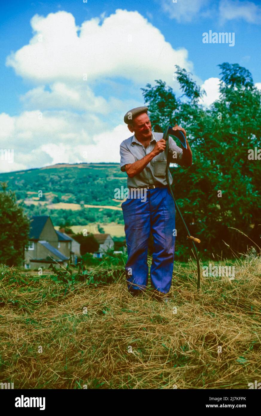 Farming scythe hi-res stock photography and images - Alamy