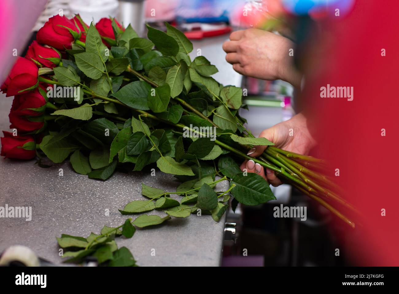 Florist at work. Close-up female hands cut roses Woman making a bouquet ...