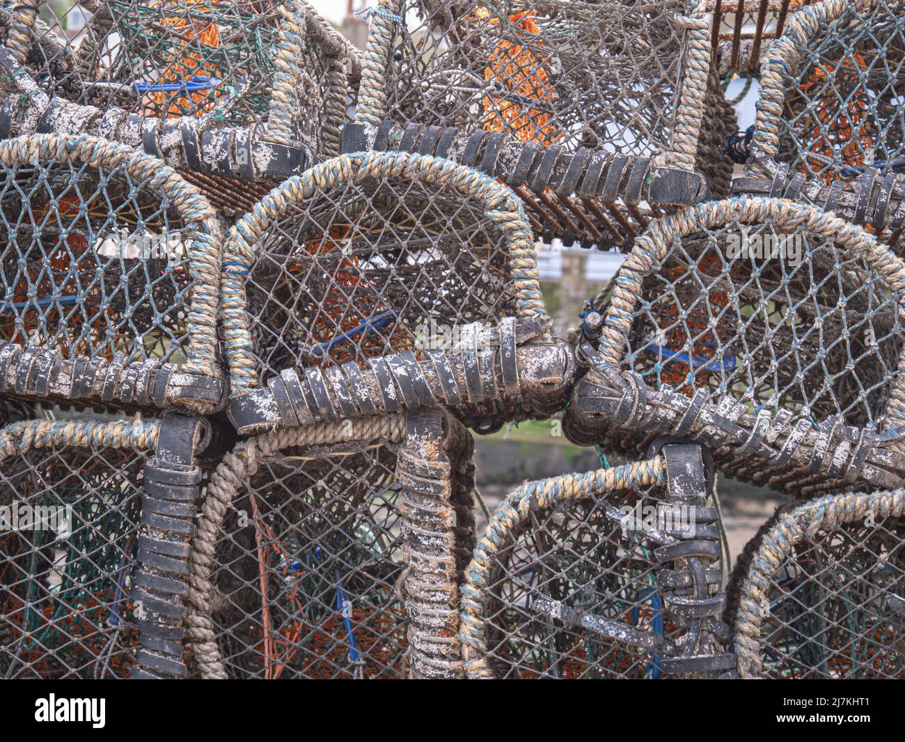 Lobster texture hi-res stock photography and images - Alamy
