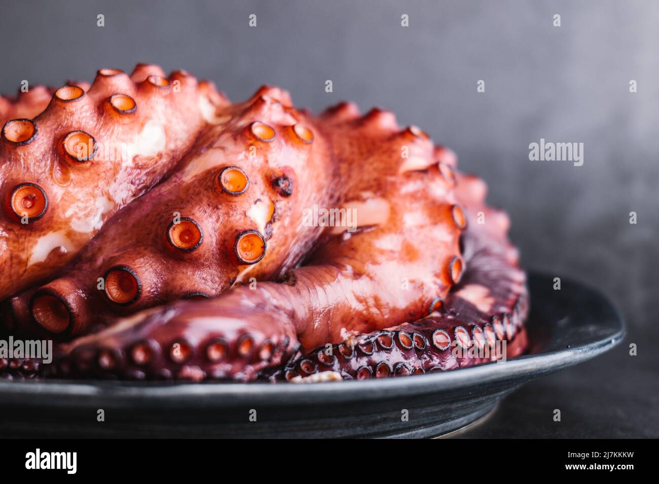 Tasty octopus tentacles served on dark plate on table against gray ...