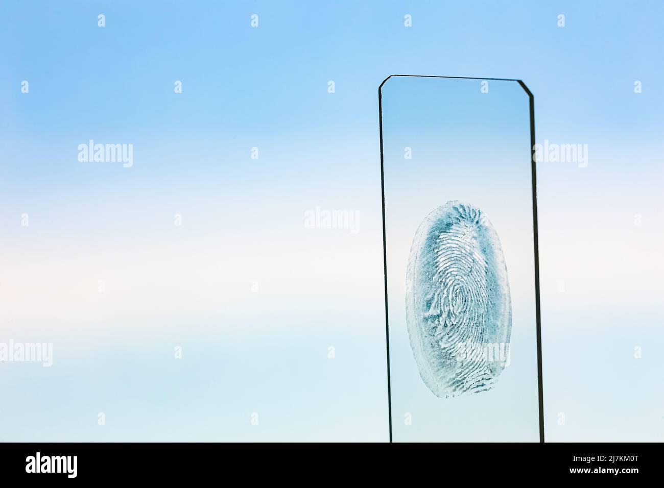 Close-up of blue color fingerprint texture of finger skin Stock Photo ...
