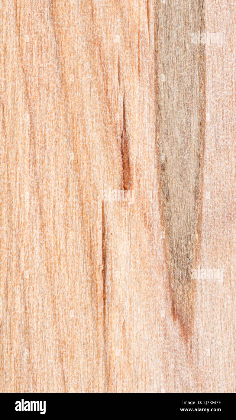 Full frame of abstract background with textured piece of alder plank ...