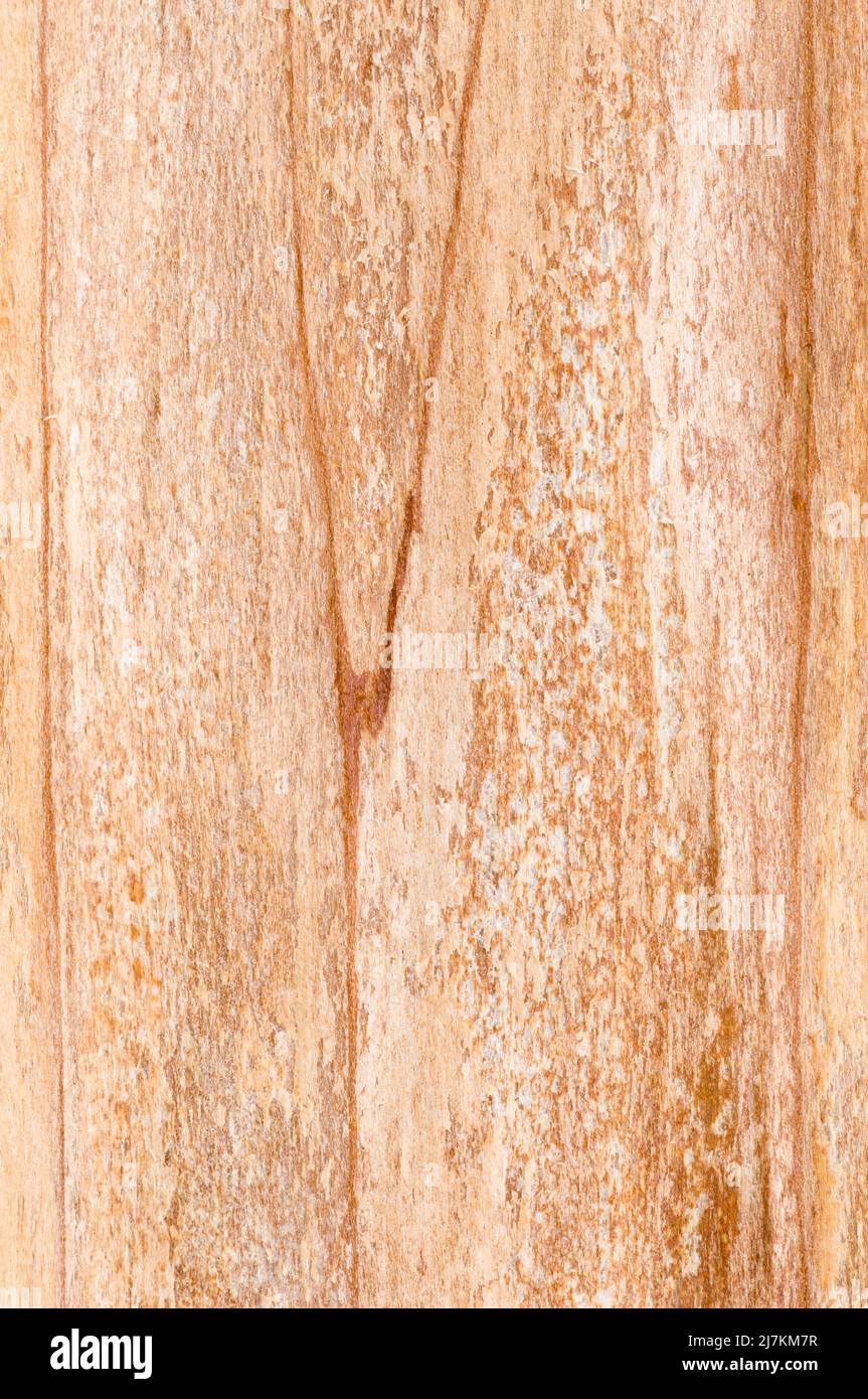 Full frame of abstract background with textured piece of alder plank ...