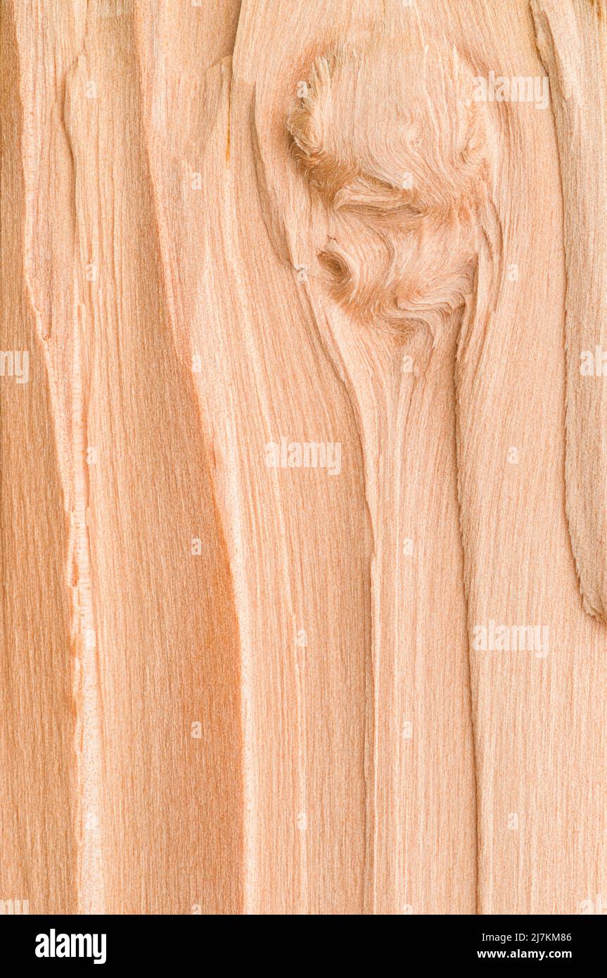 Full frame of abstract background with textured piece of hemlock plank ...
