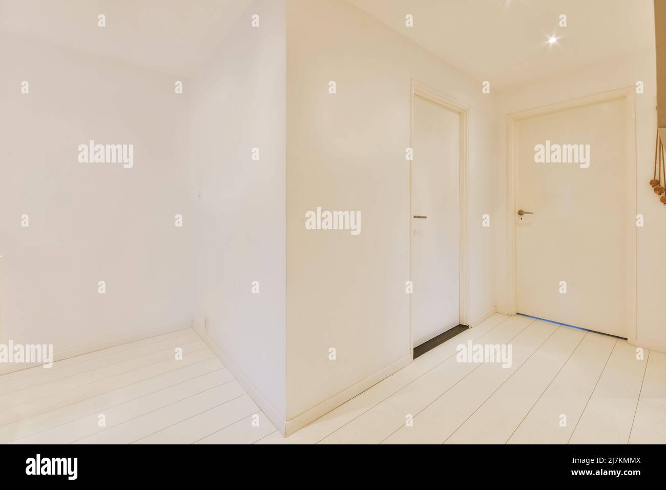 Interior of light room with white walls and door and plank floor inside ...