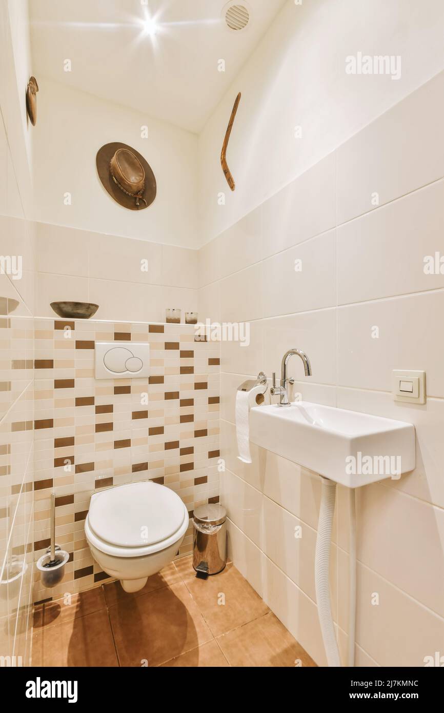 White toilet and sink installed on tiled walls of modern bathroom with ...