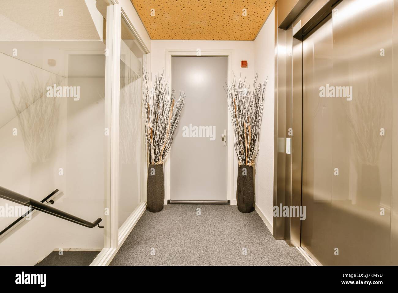 Stylish corridor with decorative flowers on vases placed near closed ...