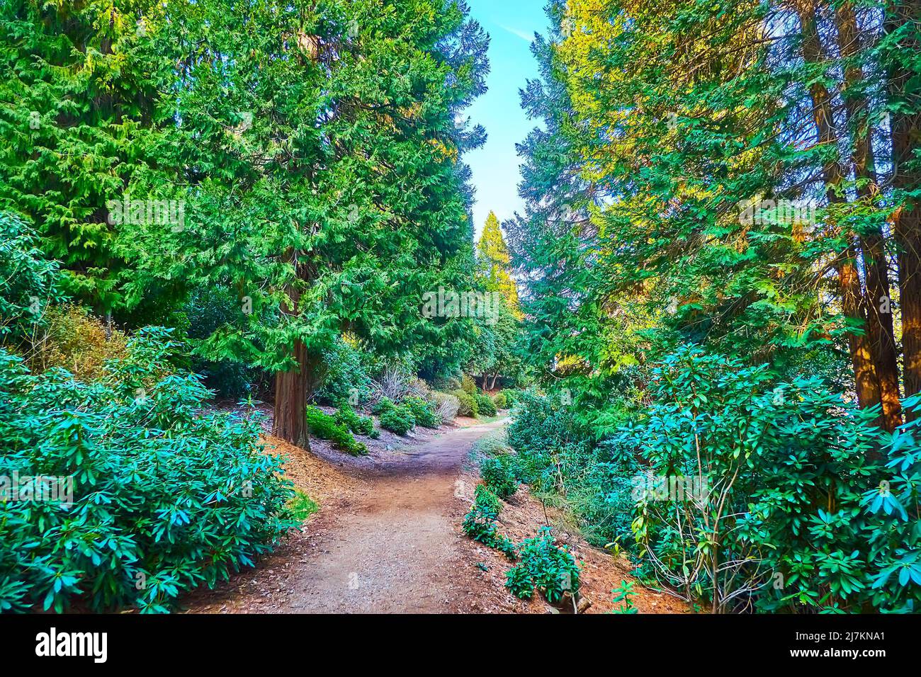 Walk the picturesque green Parco San Grato botanical garden with large ...