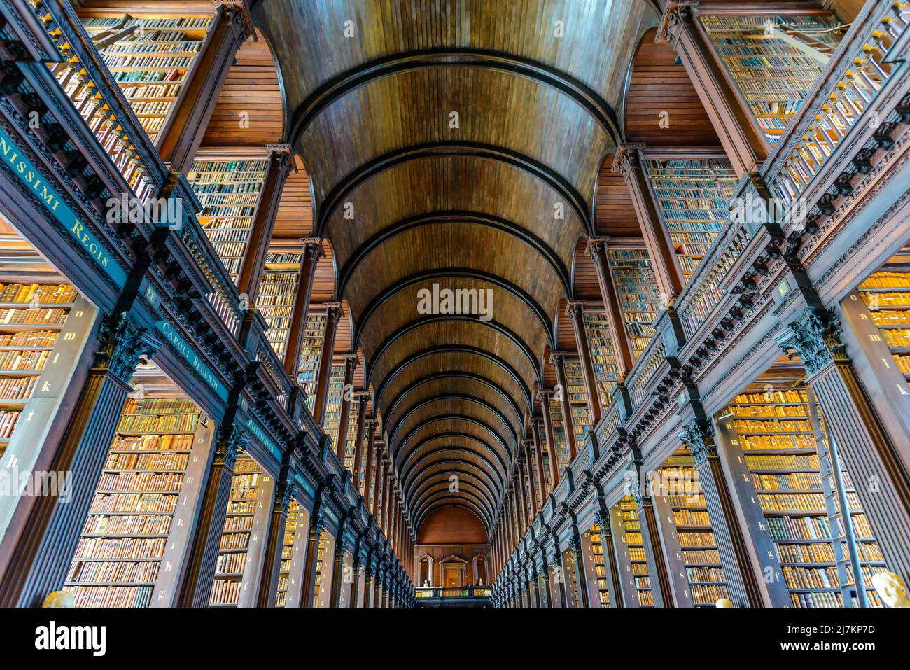 Long arched passage with fences and columns in light public library of ...