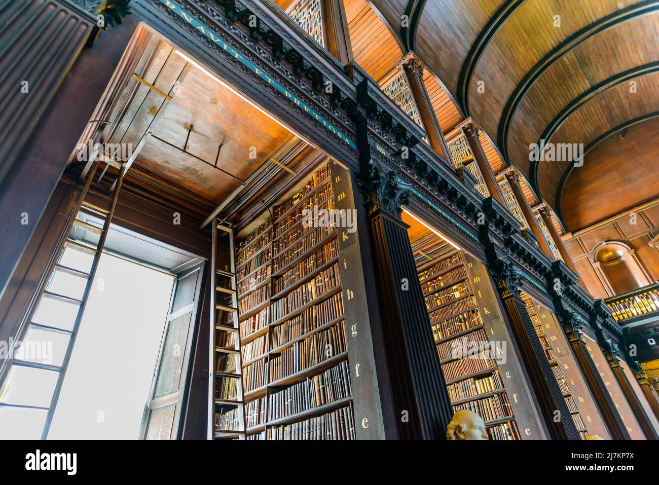 Long arched passage with fences and columns in light public library of ...