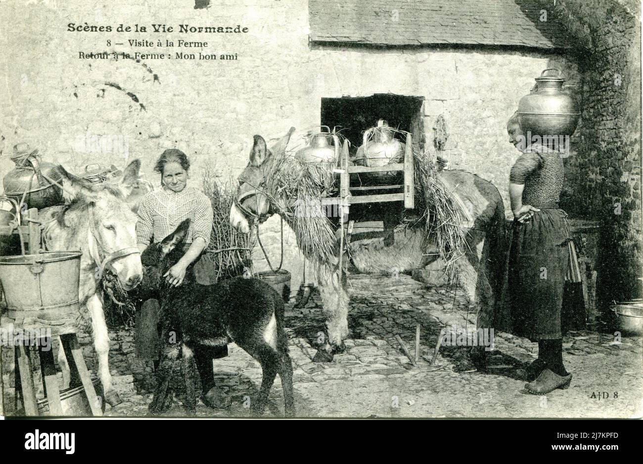 Life on the farm in Normandy Department: 14 - Calvados Region: Normandy ...