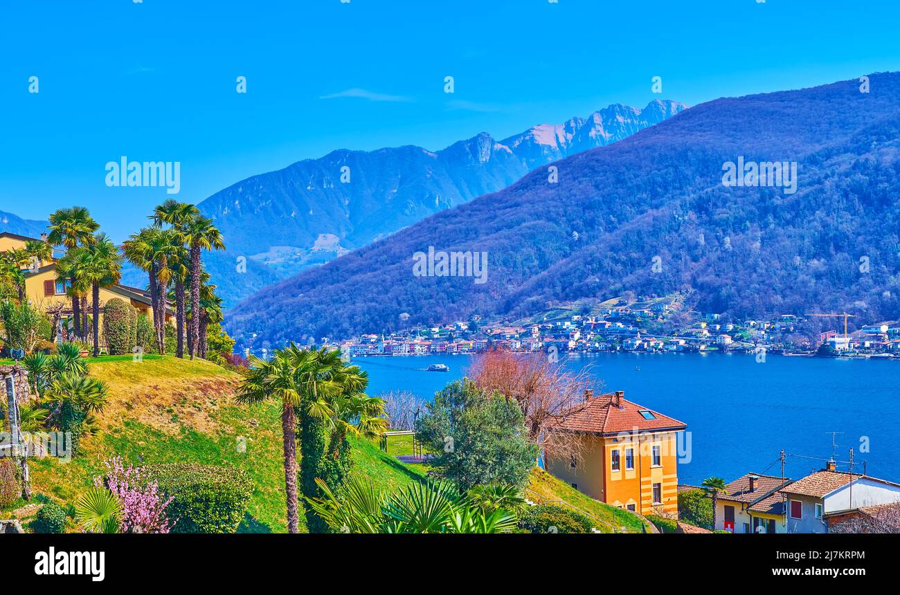 Enjoy the scenic Alpine landscape with beautiful palm garden, juicy ...