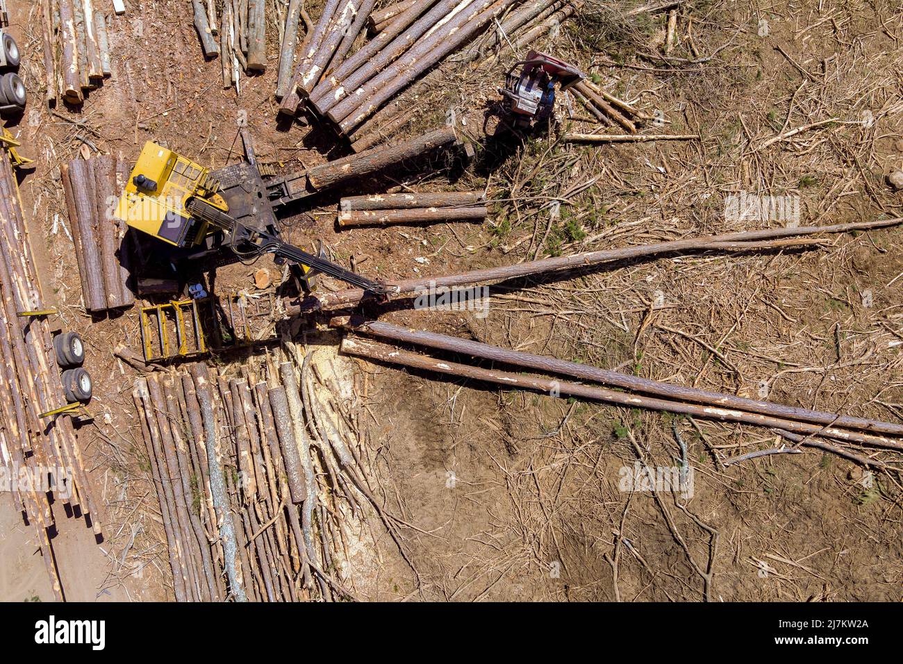 Forestry machine wooden log loader to truck Stock Photo - Alamy