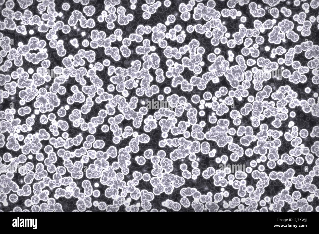 artistic modern many biological cells digital graphic texture ...