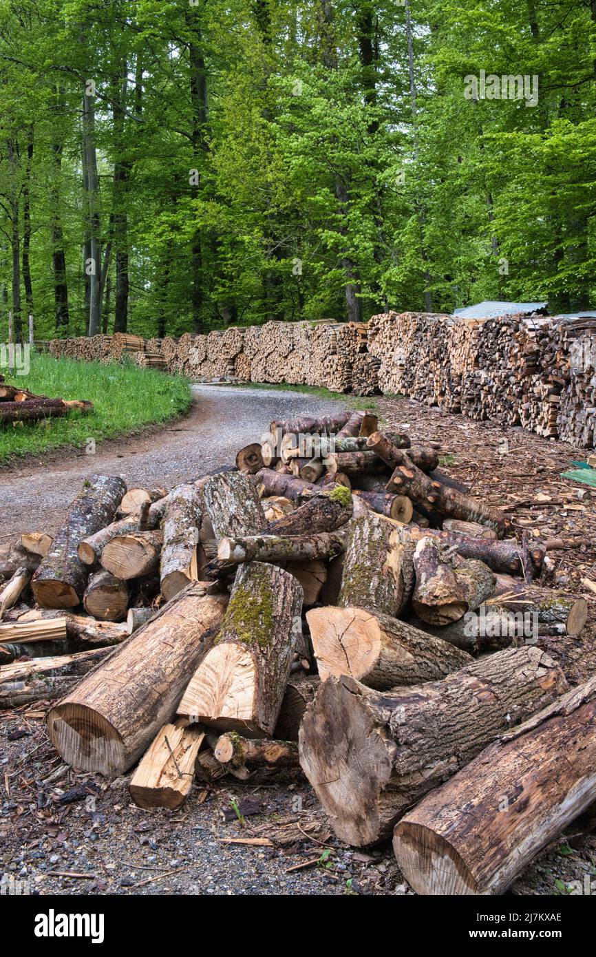 Timber wood uncut hi-res stock photography and images - Alamy