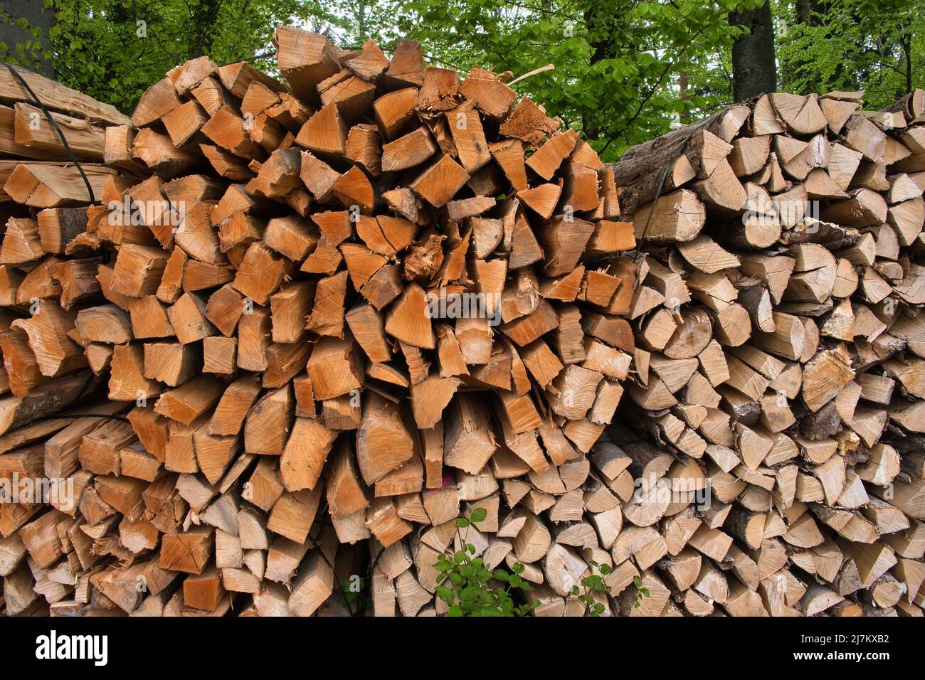 Timber wood uncut hi-res stock photography and images - Alamy