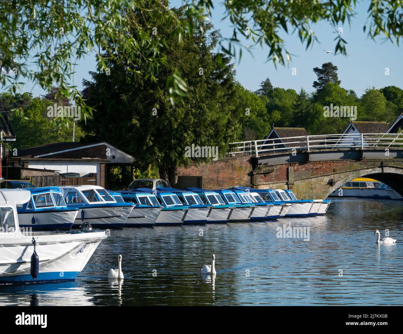 Wroxham on The River Bure, with it boats & swans, considered to the ...