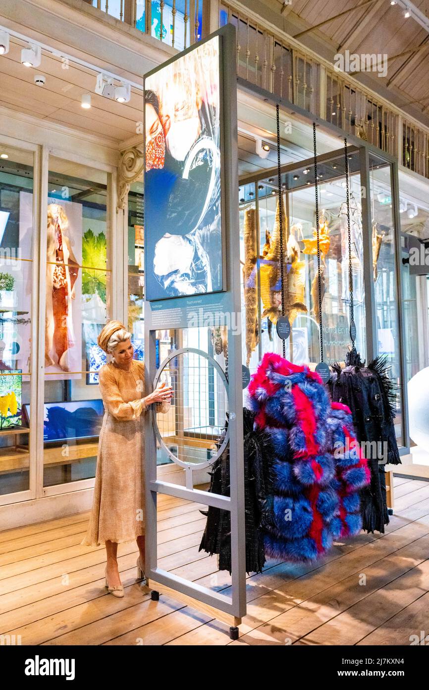 Queen Maxima at the opening of the ARTIS-Groote Museum in Amsterdam ...