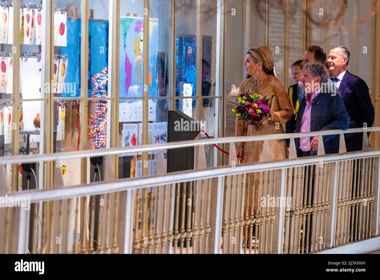 Queen Maxima at the opening of the ARTIS-Groote Museum in Amsterdam ...