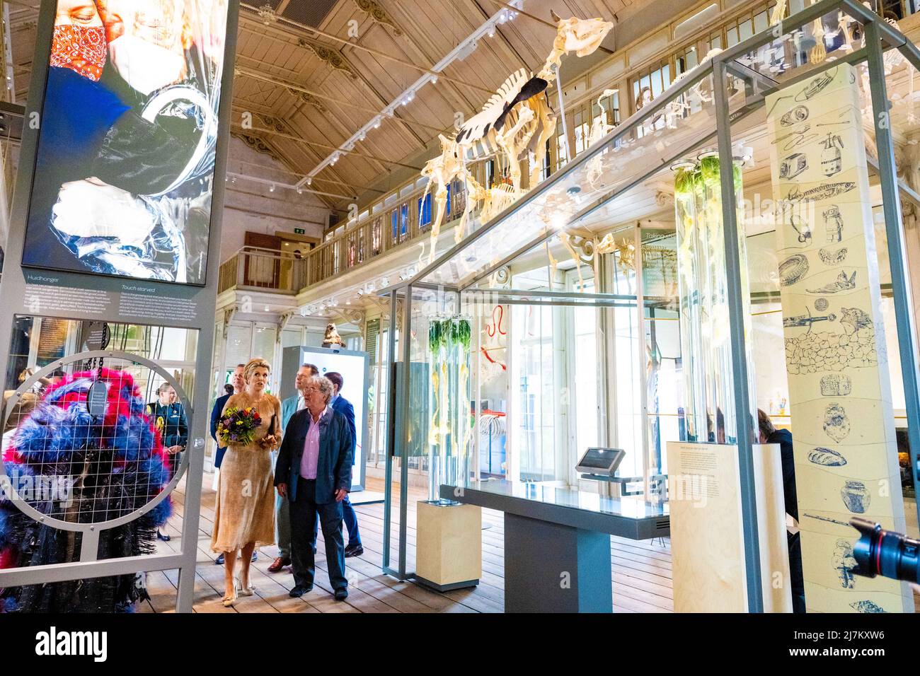 Queen Maxima at the opening of the ARTIS-Groote Museum in Amsterdam ...