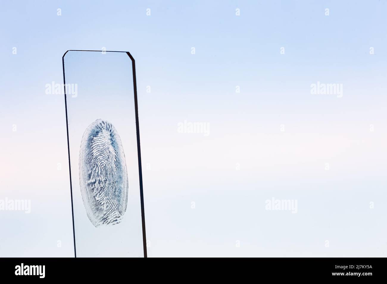 Close-up of blue color fingerprint texture of finger skin Stock Photo ...