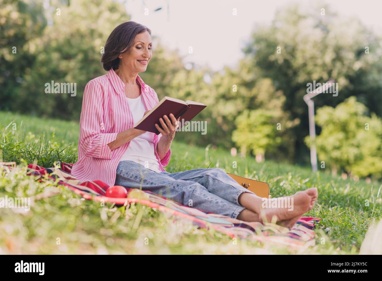 Photo of cute charming lady pensioner wear pink shirt sitting blanket ...
