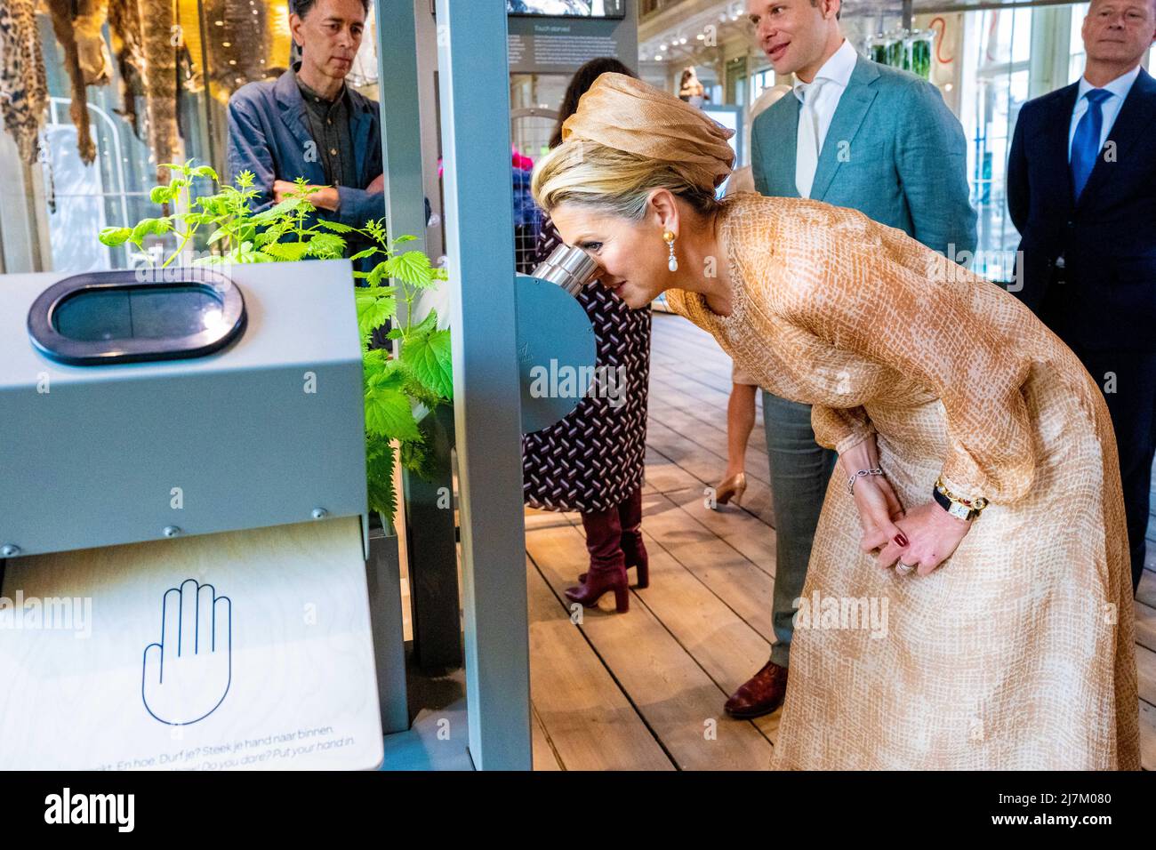 Queen Maxima at the opening of the ARTIS-Groote Museum in Amsterdam ...