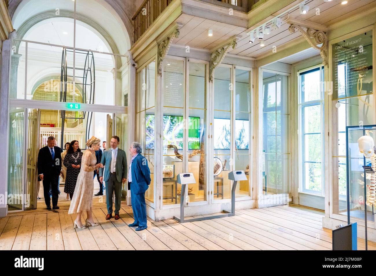 Queen Maxima at the opening of the ARTIS-Groote Museum in Amsterdam ...