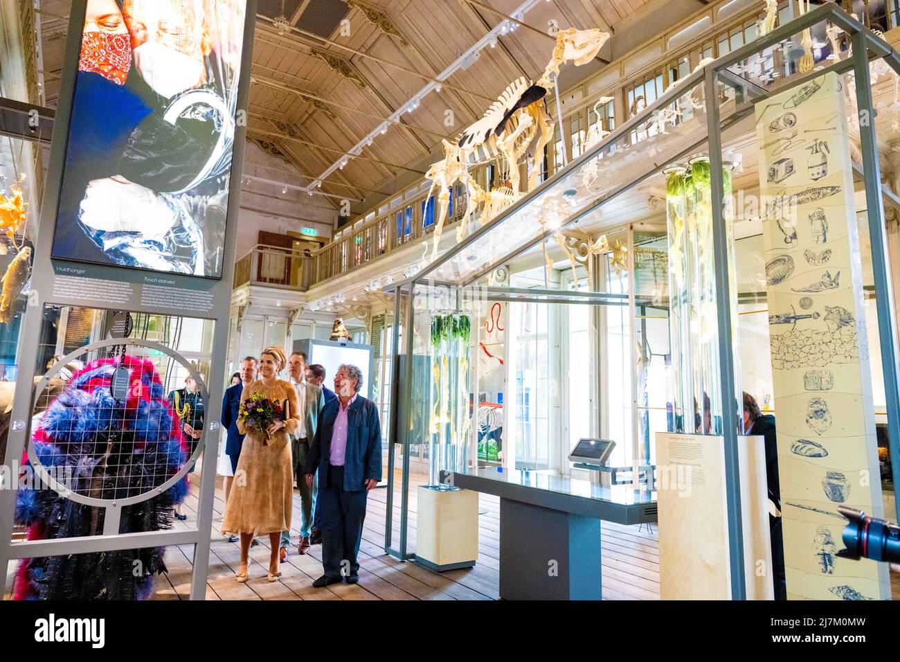 Queen Maxima at the opening of the ARTIS-Groote Museum in Amsterdam ...