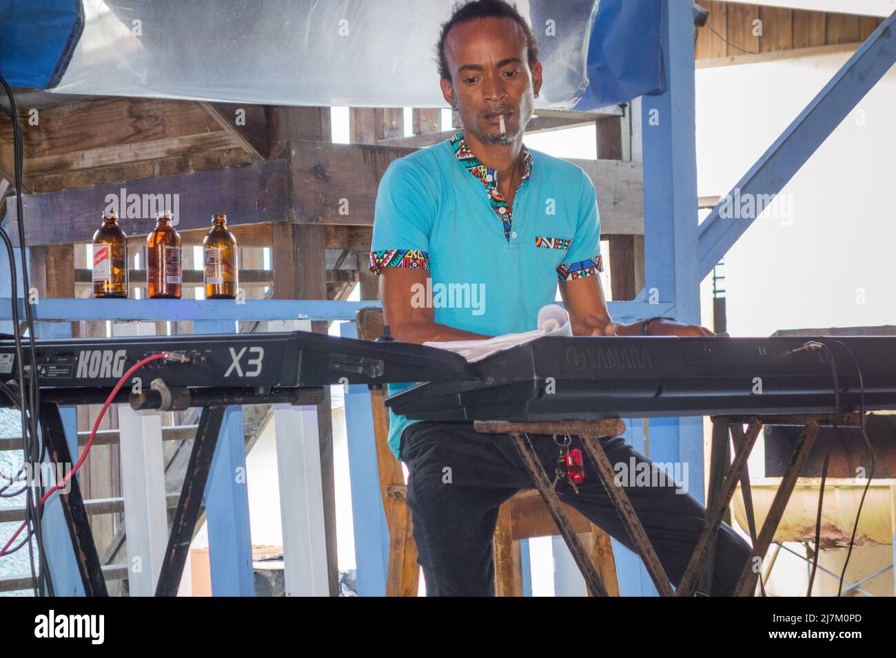 Reggae Keyboard player at 'Boat Bar', Negril, Westmoreland, Jamaica ...