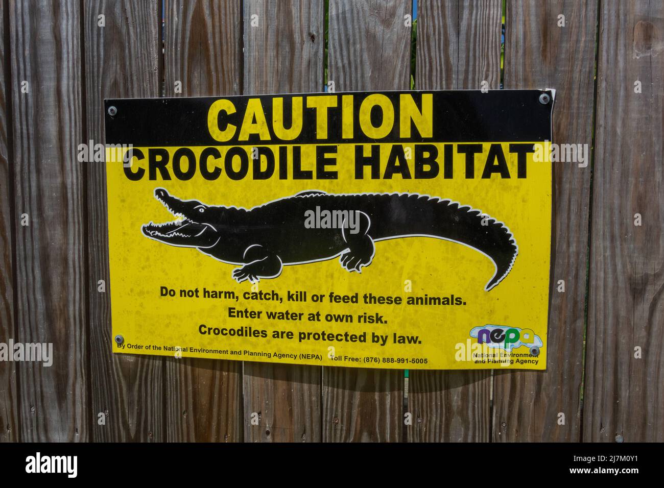 Holland Bay Crocodile Sanctuary, Amity Hal, St. Thomas, Jamaica Stock ...