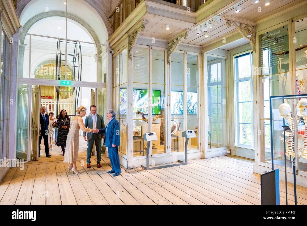 Queen Maxima at the opening of the ARTIS-Groote Museum in Amsterdam ...