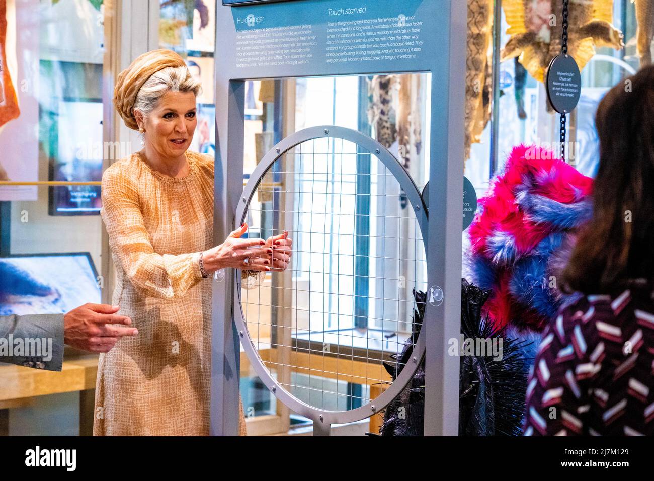 Queen Maxima at the opening of the ARTIS-Groote Museum in Amsterdam ...