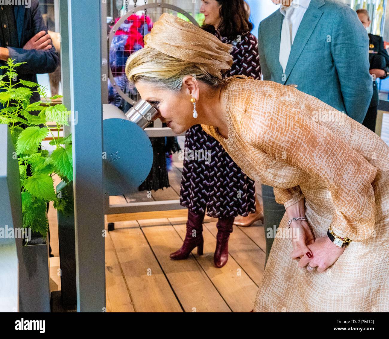 Queen Maxima at the opening of the ARTIS-Groote Museum in Amsterdam ...