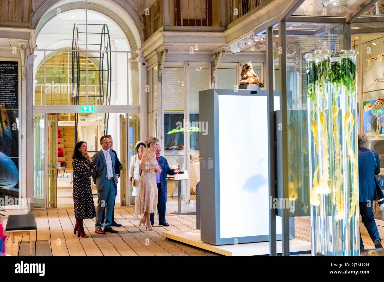 Queen Maxima at the opening of the ARTIS-Groote Museum in Amsterdam ...