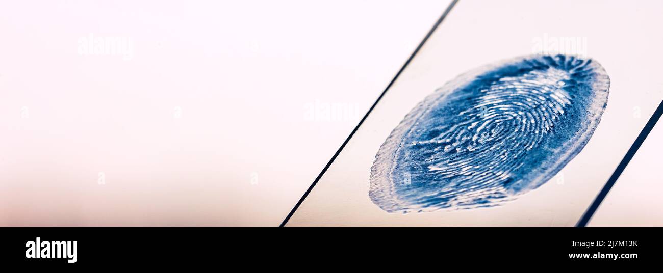 Close-up of blue color fingerprint texture of finger skin Stock Photo ...