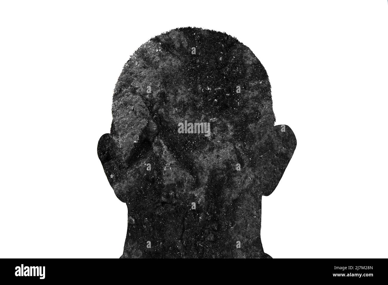 Fossil sketch hi-res stock photography and images - Alamy