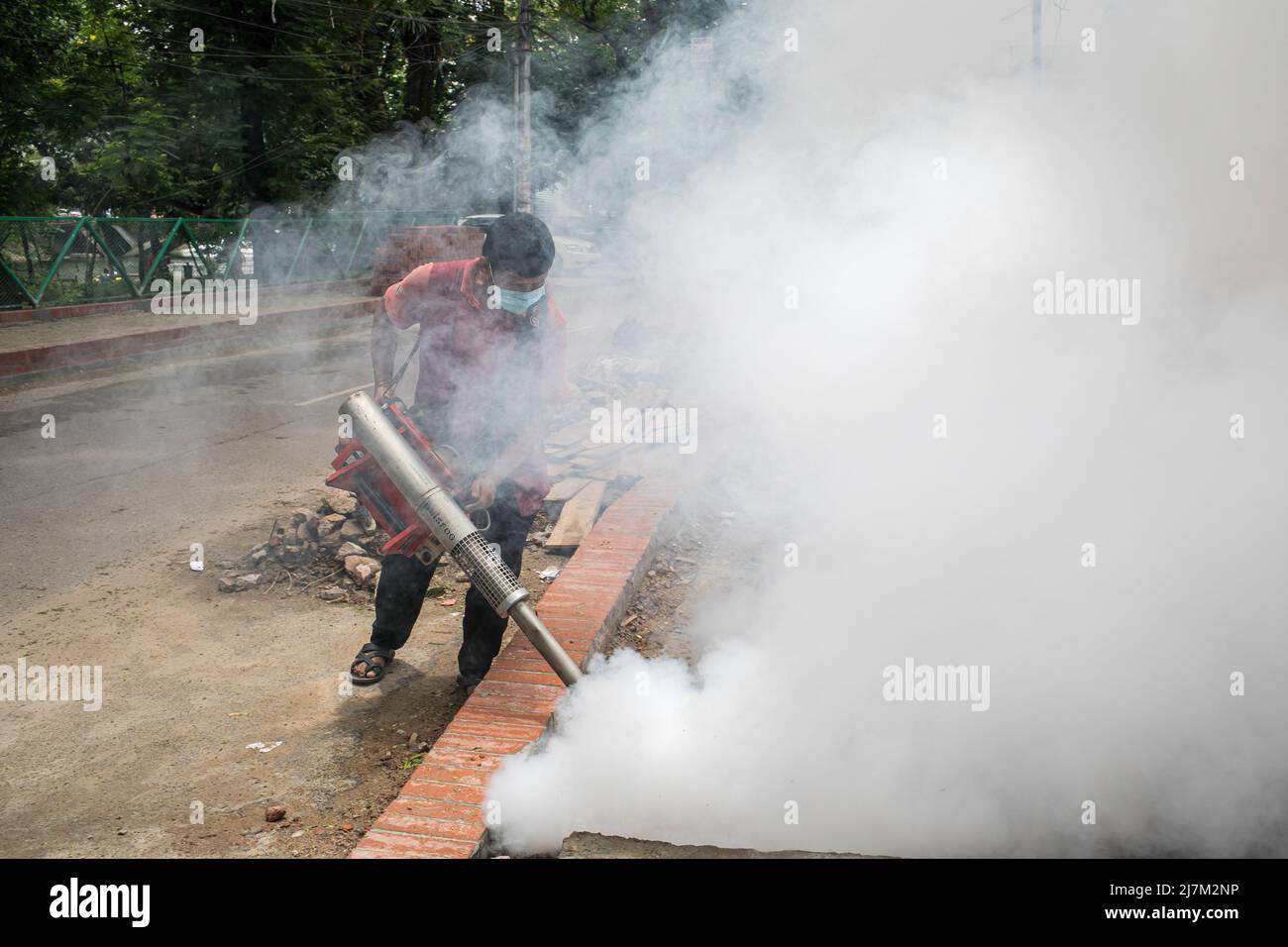 A city corporation employee spraying insecticide with a fogger machine ...