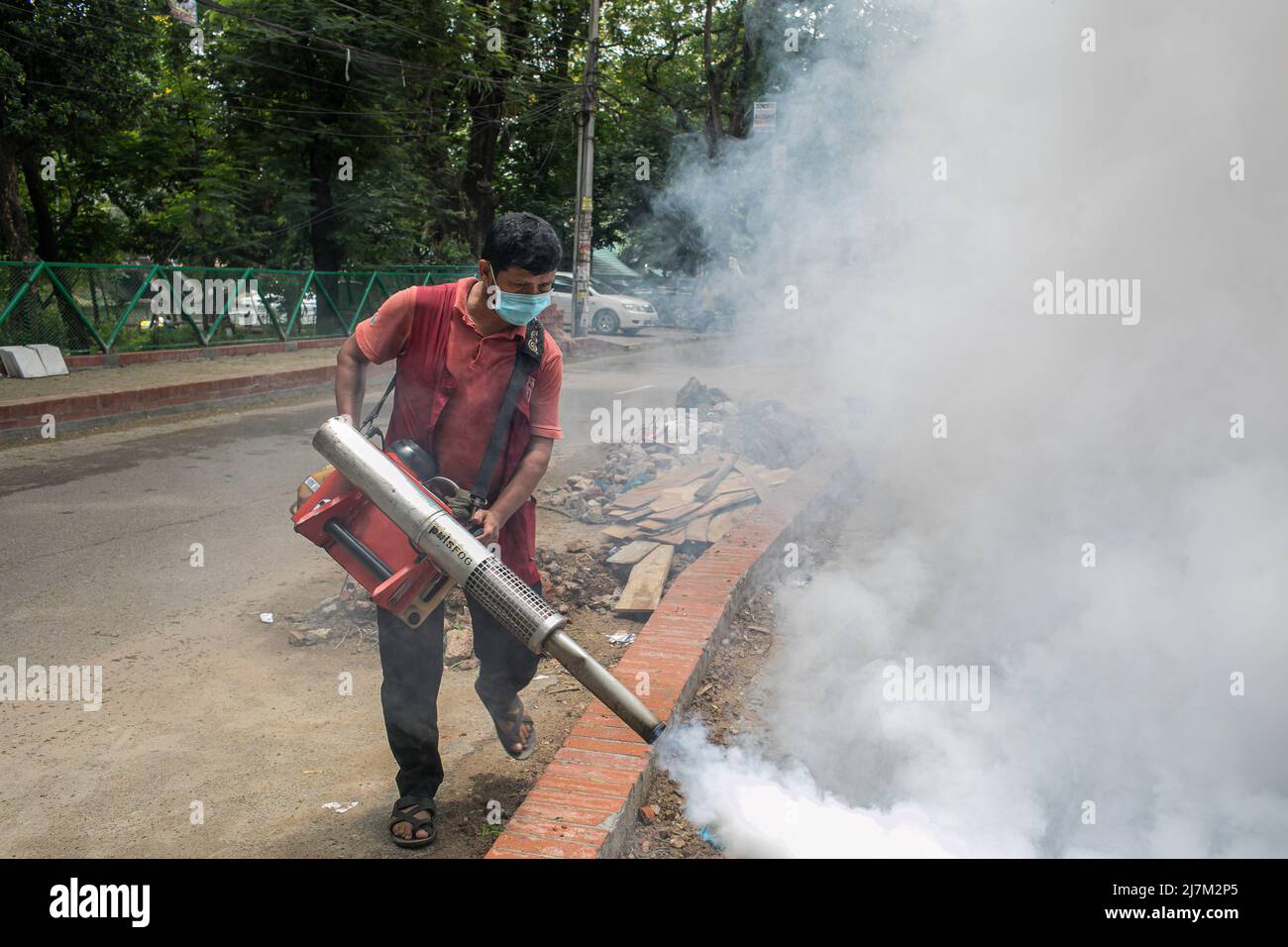 A city corporation employee spraying insecticide with a fogger machine ...