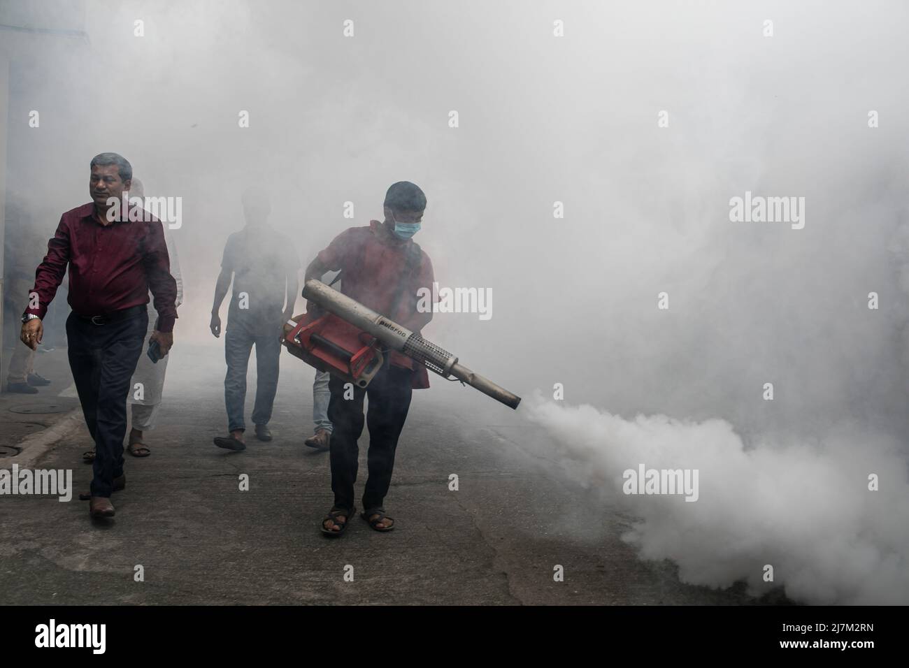 A city corporation employee spraying insecticide with a fogger machine ...