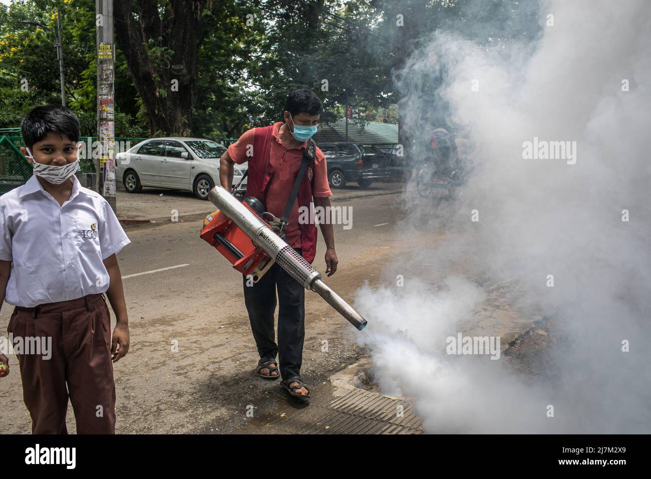 A city corporation employee spraying insecticide with a fogger machine ...
