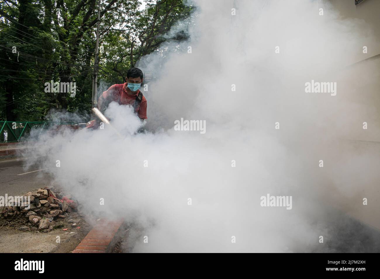 A city corporation employee spraying insecticide with a fogger machine ...