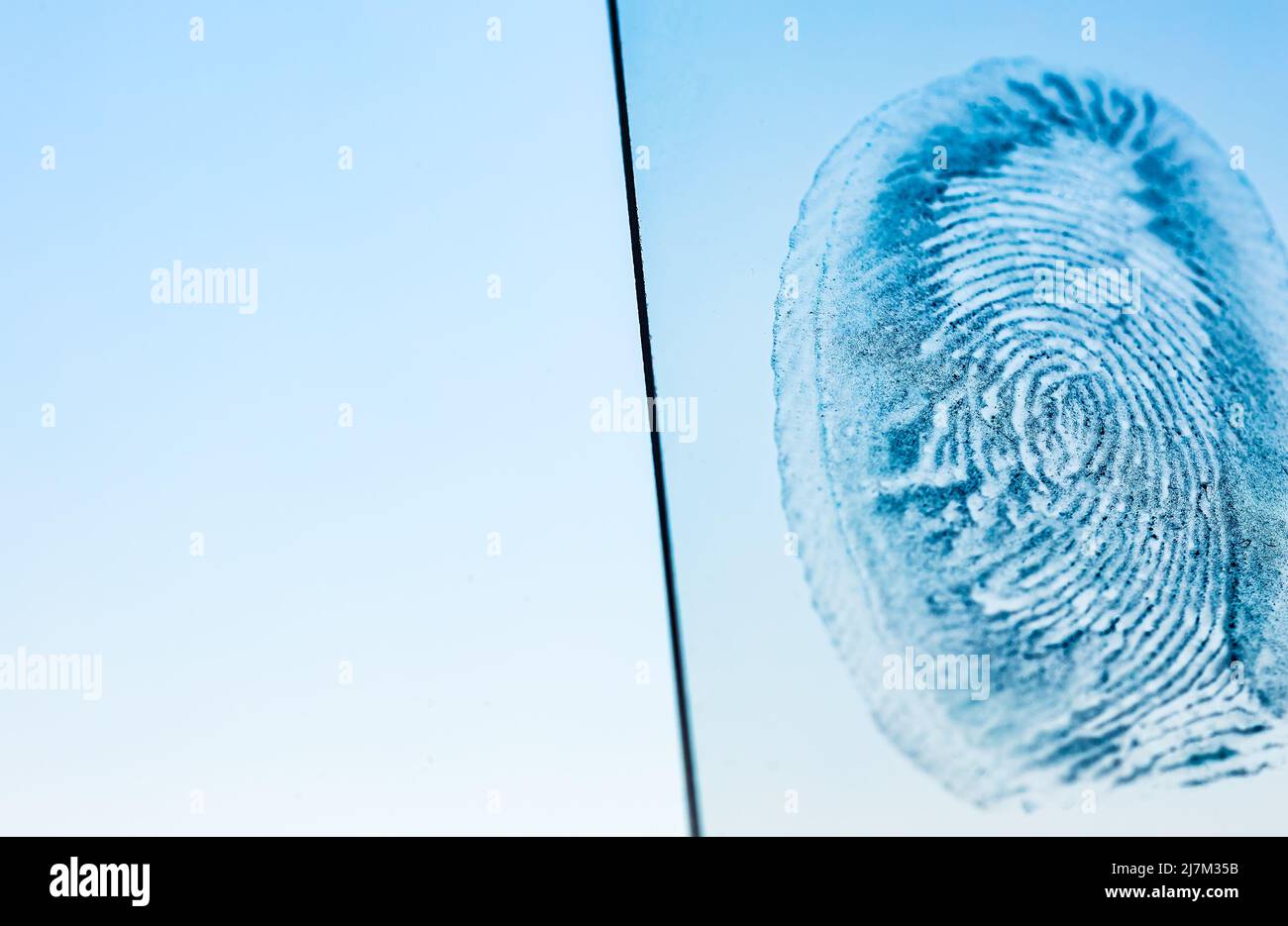 Close-up of blue color fingerprint texture of finger skin Stock Photo ...