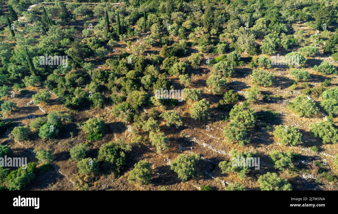 Aerial view of farmland in Lefkada island in Greece. There is ...