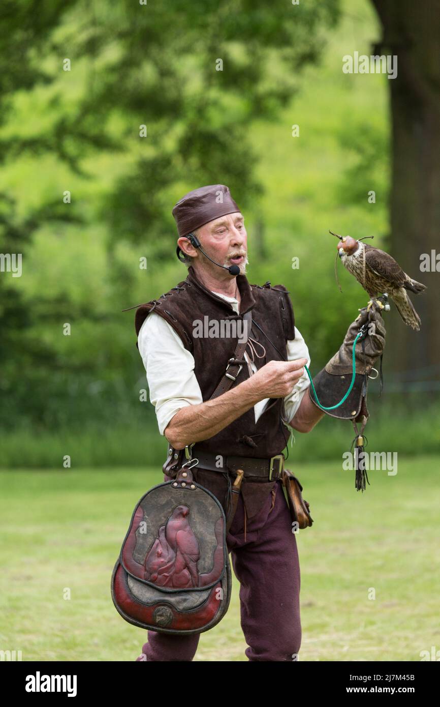 falconer with a hawk bird of prey on their arm on a jess Stock Photo ...