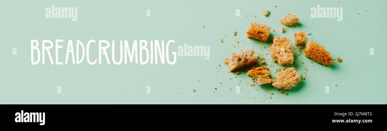 some pieces and crumbs of bread on a green background and the text ...