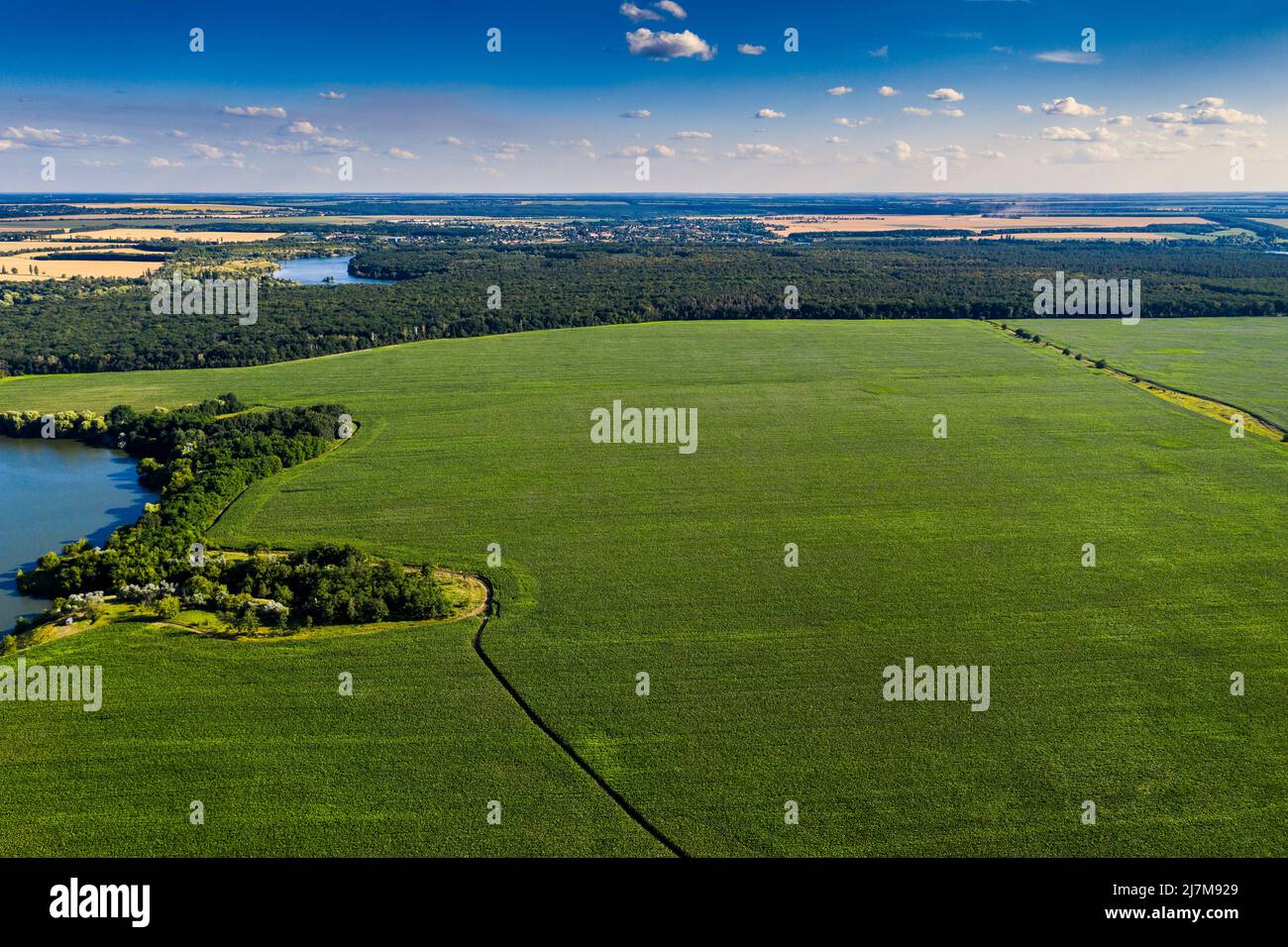 Top view of green fields. Beautiful forest, blue sky, clouds. River flows Stock Photo - Alamy