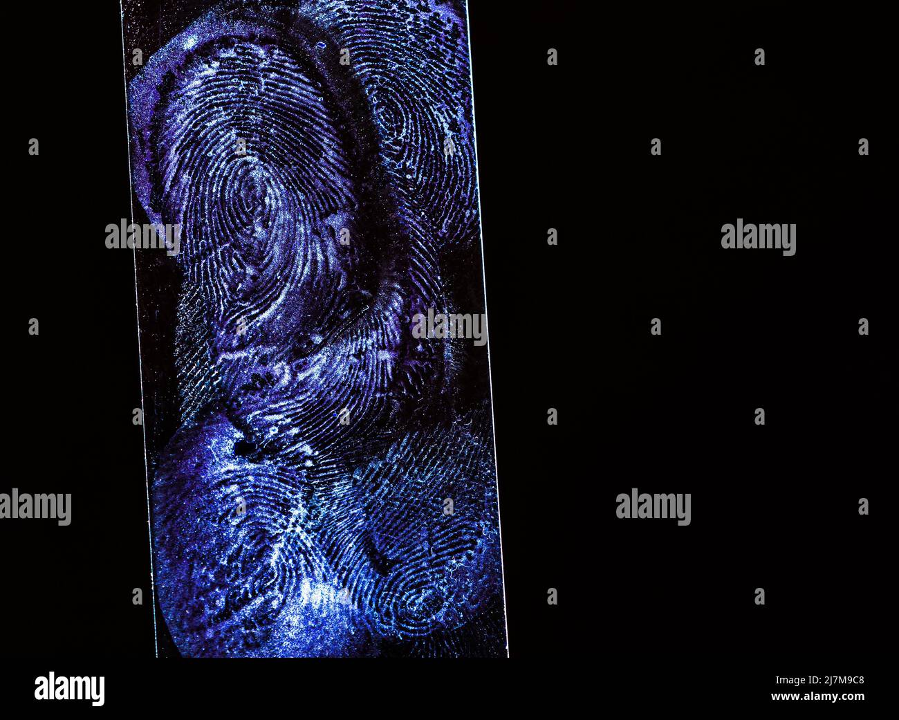 Close-up of blue color fingerprint texture of finger skin Stock Photo ...