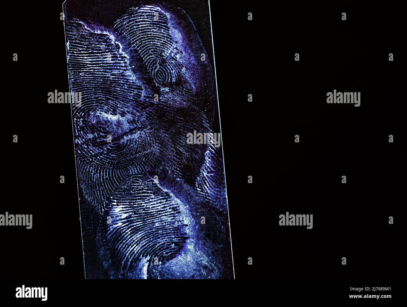 Close-up of blue color fingerprint texture of finger skin Stock Photo ...