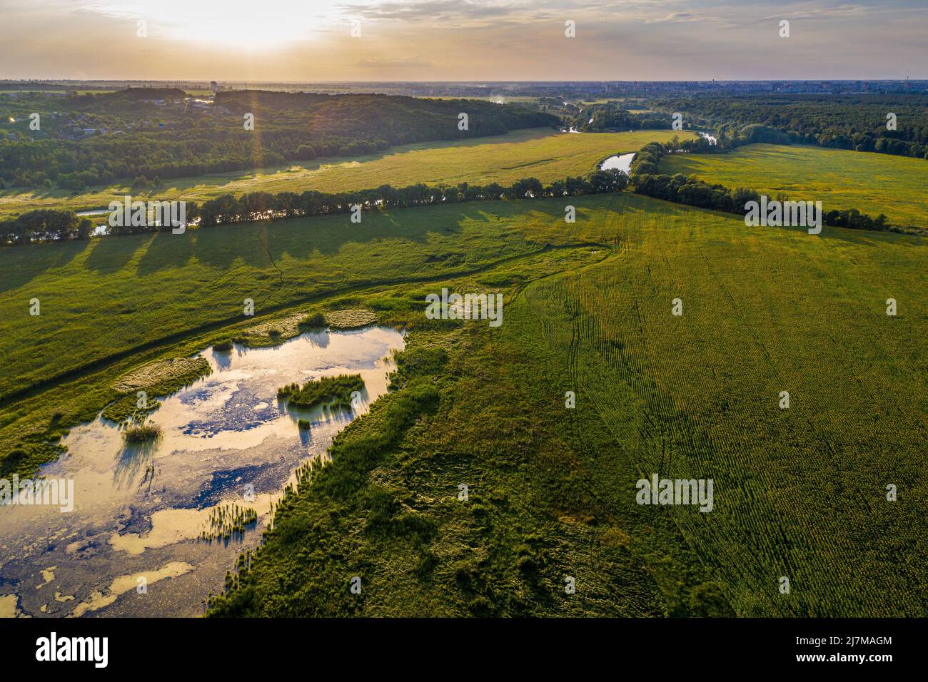 Top view of green fields. Beautiful forest, blue sky, clouds Stock Photo - Alamy
